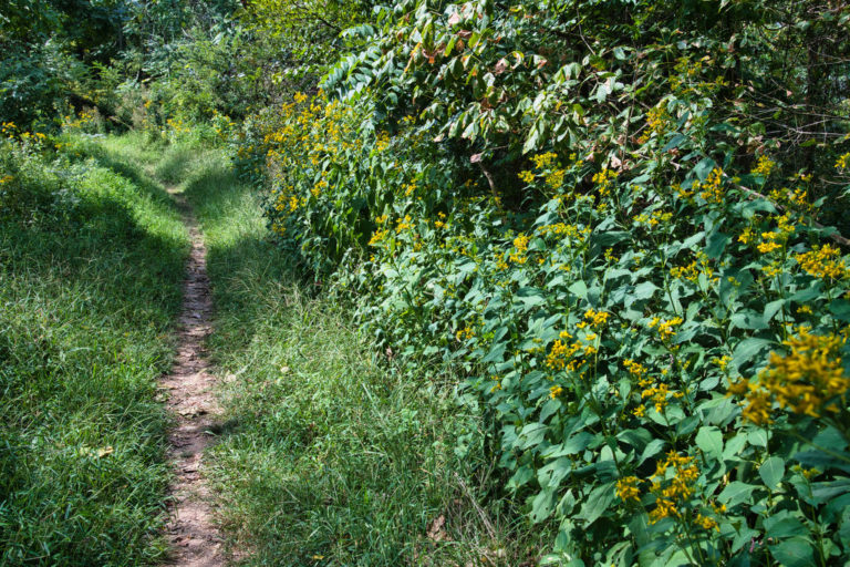 Dutch Gap Conservation Area - The Hoppy Hikers