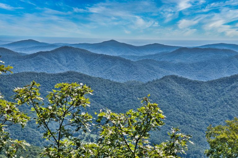 Three Ridges: Reeds Gap to Tye River - The Hoppy Hikers