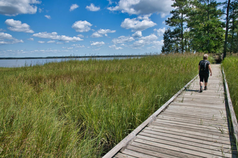York River State Park - The Hoppy Hikers
