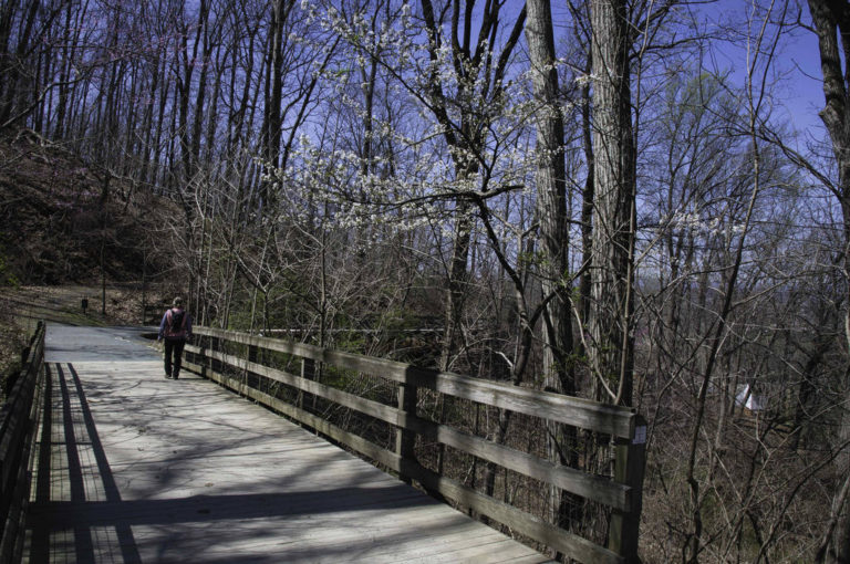 Saunders-Monticello Trail - The Hoppy Hikers