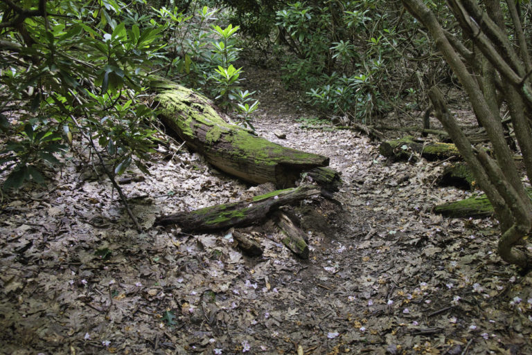 Cascade Falls to Barney's Wall - The Hoppy Hikers