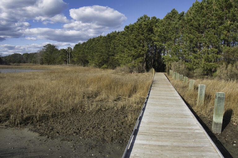 Machicomoco State Park - The Hoppy Hikers
