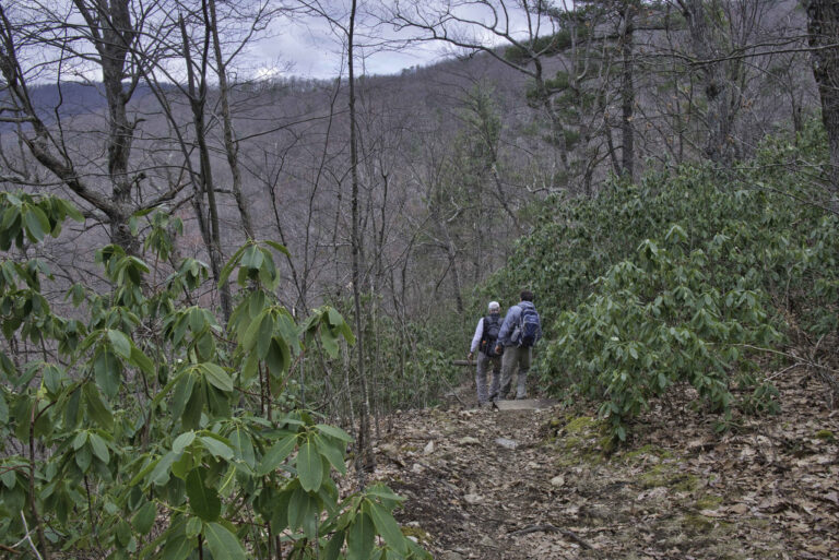 Apple Orchard Falls & Cornelius Creek Loop - The Hoppy Hikers