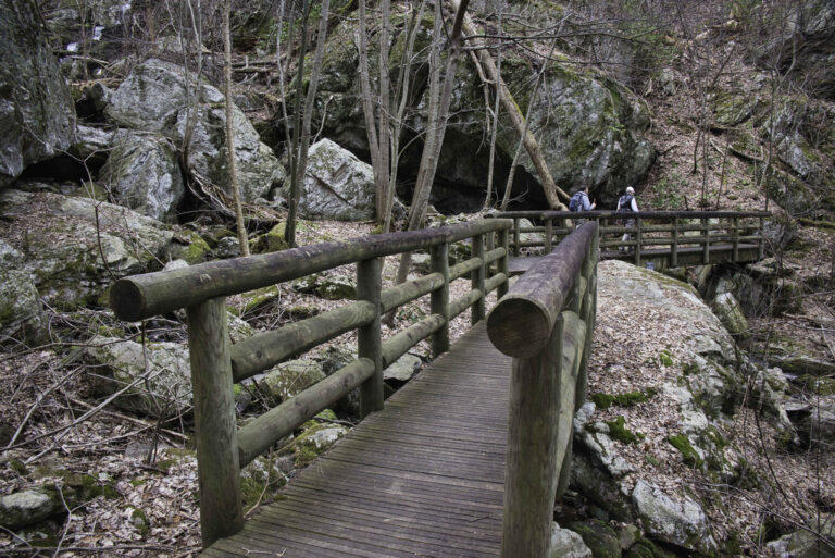 Apple Orchard Falls & Cornelius Creek Loop - The Hoppy Hikers