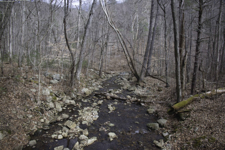 Apple Orchard Falls & Cornelius Creek Loop - The Hoppy Hikers