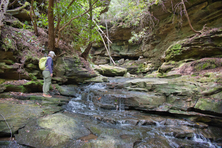 Honey Creek Loop - The Hoppy Hikers