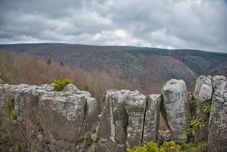 Dolly Sods: Lion's Head Rocks - The Hoppy Hikers